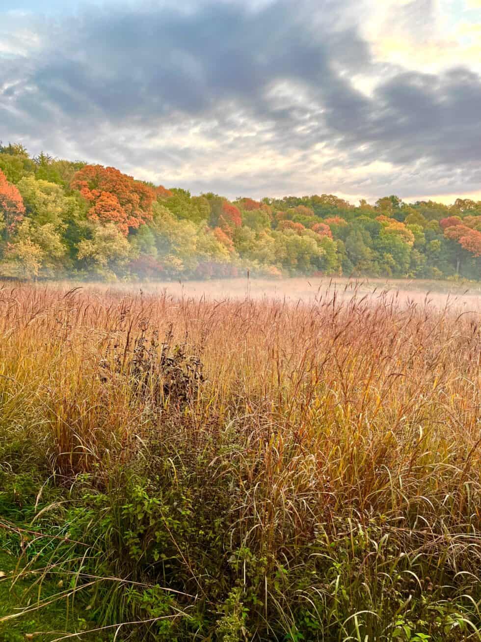 Many Rivers Sites - Prairie Enthusiasts