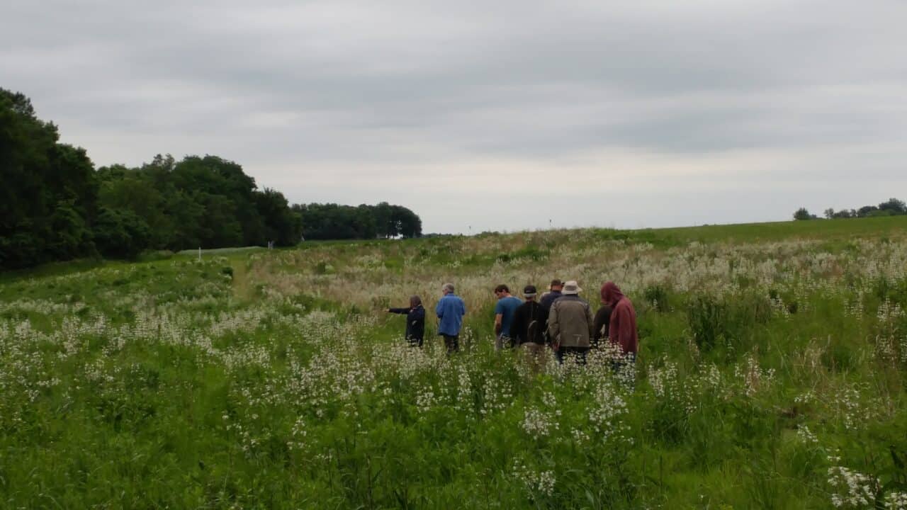 Many Rivers | Prairie Enthusiasts