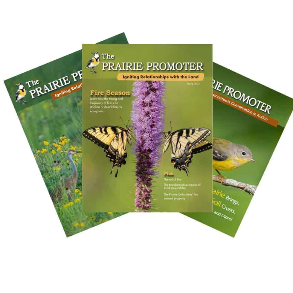 Prairie Enthusiasts | Save Your Local Rare Habitats