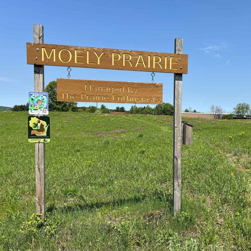 Moely Prairie - Prairie Enthusiasts