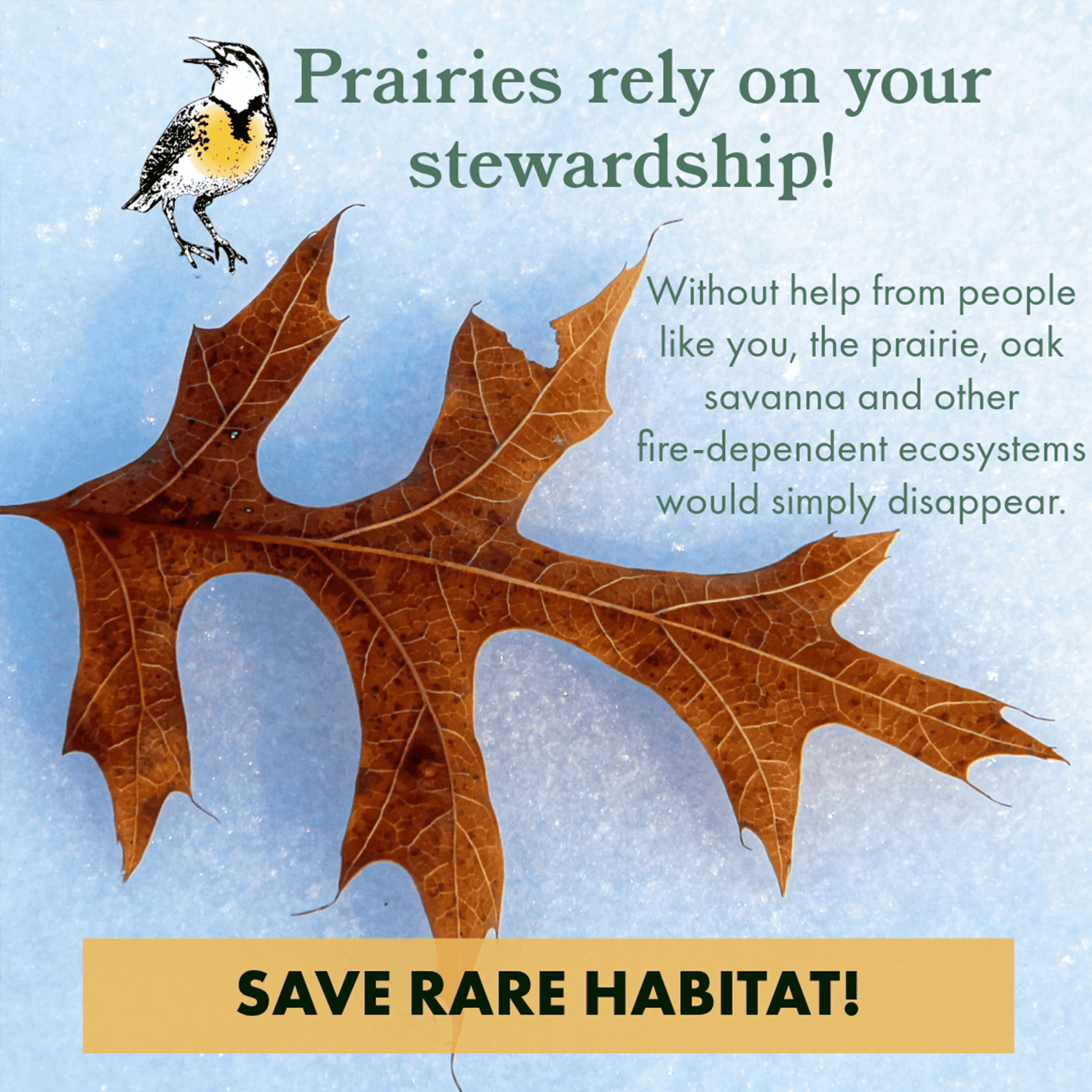 Prairie Enthusiasts | Protecting our Natural Heritage