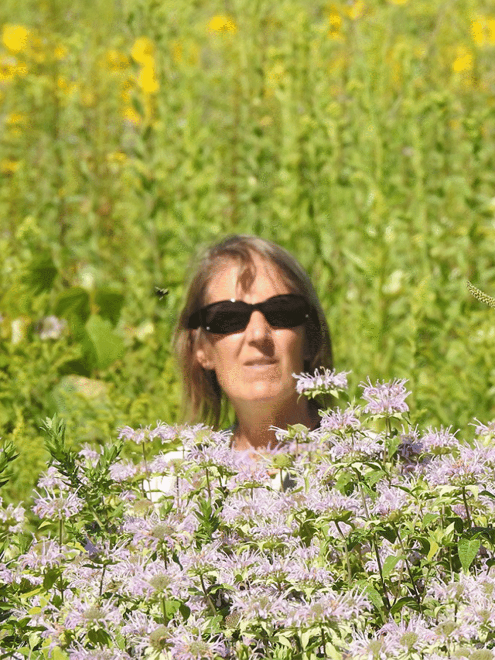 Meet the Prairie Enthusiasts Volunteers Who Are Changing the World ...