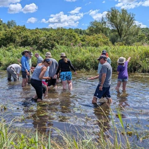 Mukwonago River Oak Barrens | Prairie Enthusiasts