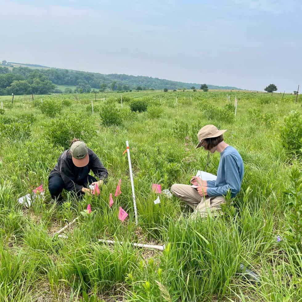 Student Researchers and Local Stewards Team Up to Study How Management ...